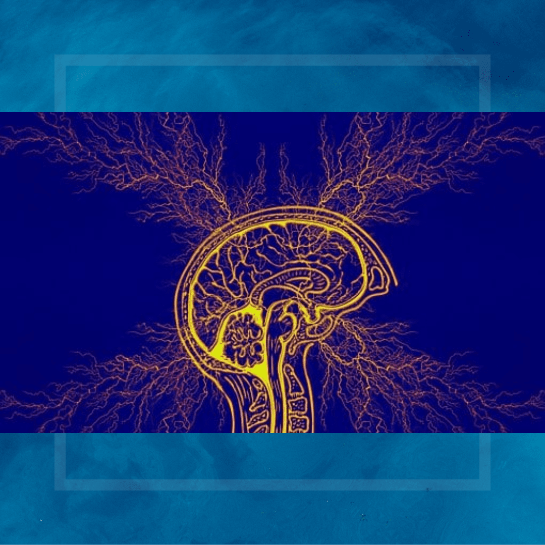 Health Resources - Doctor Tina Chee, MD | Updesign Primary Care ...